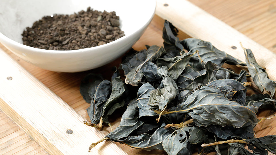 Japanese Indigo Extract for Skin | Tatcha